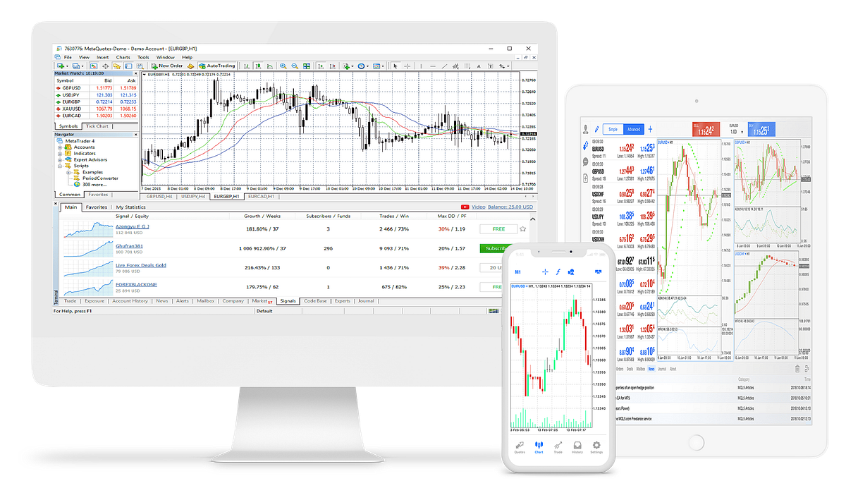 FOREX CENT ACCOUNT. It is always confusing in everyone’s… | by PFH ...
