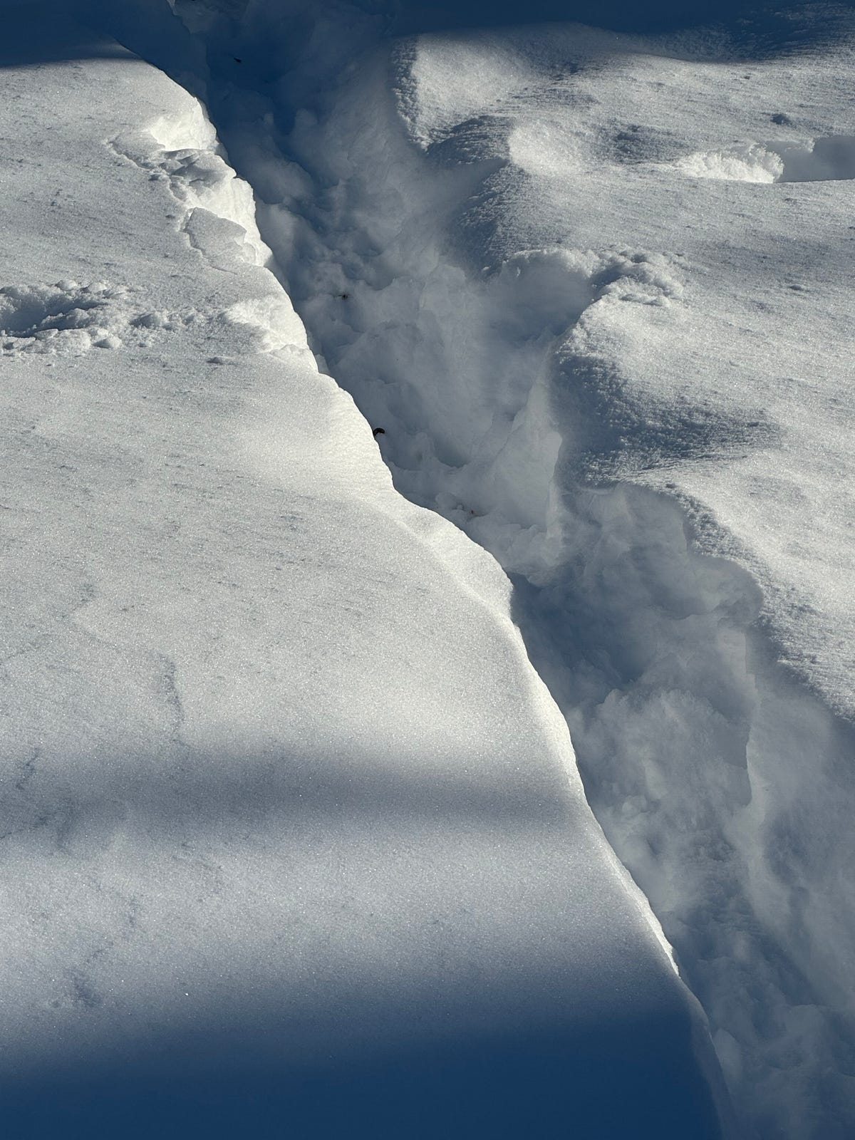 A Deep Dry Drifting Snow - The Daily Cuppa - Medium