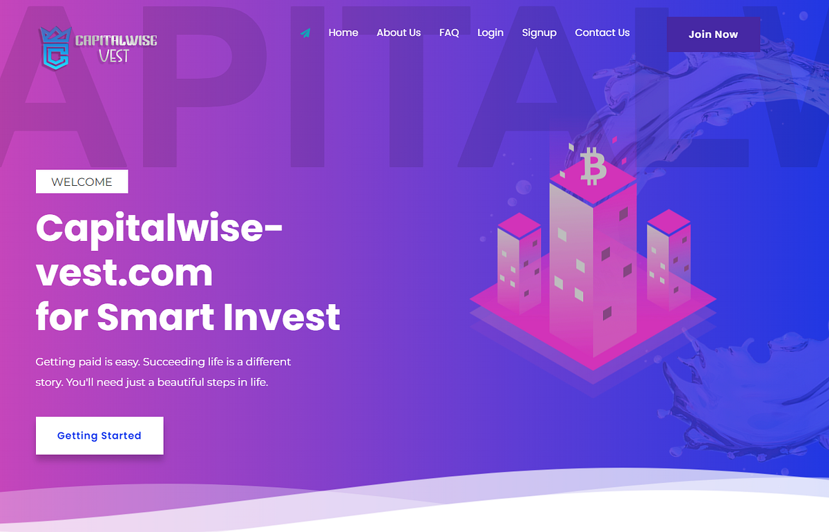 Capital Wise Vest: An Unbiased Examination | by Gain Gain Crypto | Medium