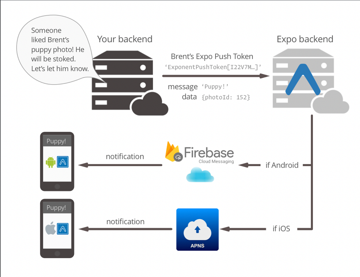 How to implement Expo Push Notification in your Expo app | by MetaRain | Medium