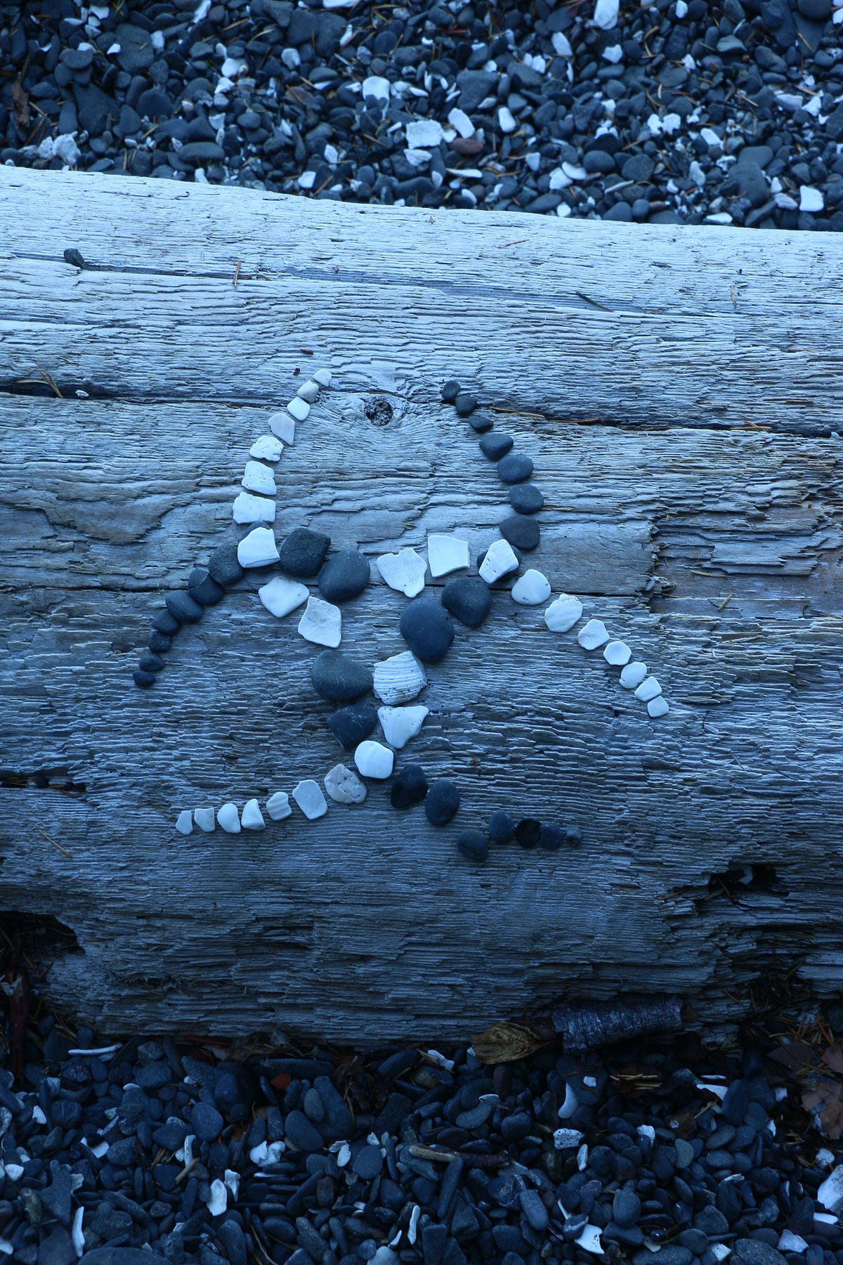 Generative Photography. Generative digital art has become a… | by Joy ...