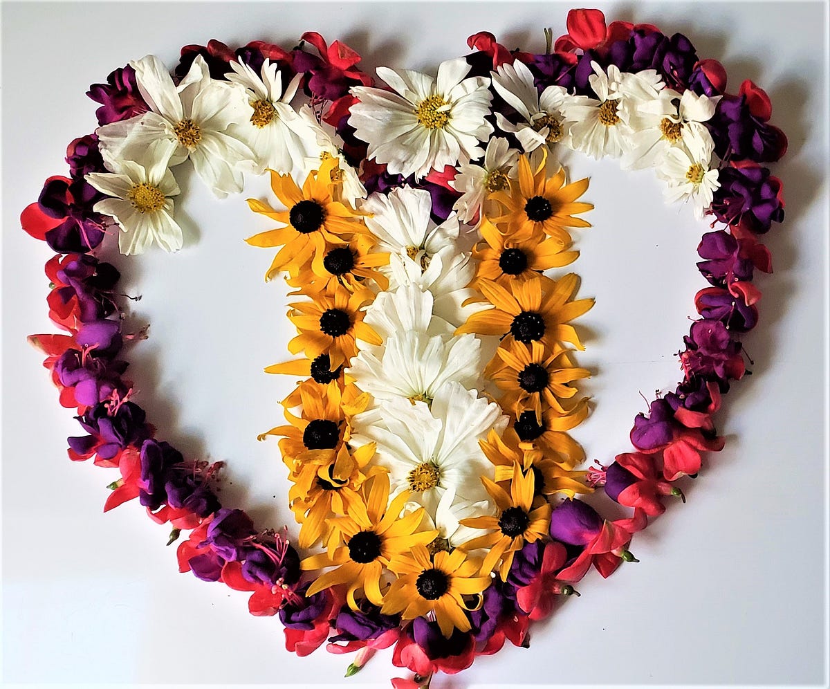 Feeling Life. “You started to feel life, don’t you?”… | by Annelise ...