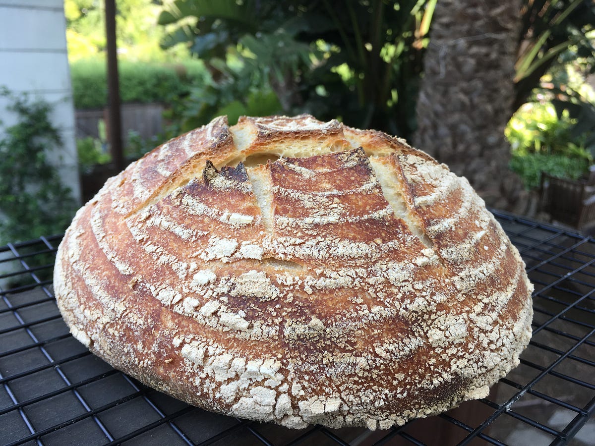 Fermenting Data Visualization: A Summer of Self-Directed Python Learning | by Ross Wait | TDS ...