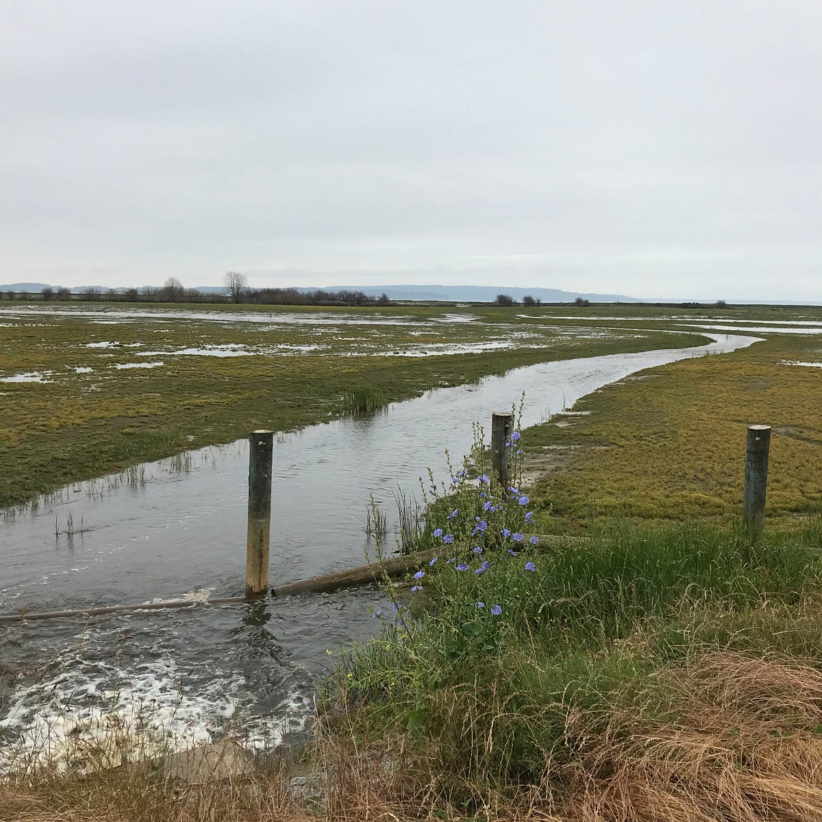 Fir Island Farm Restoration Project | by Puget Sound Partnership ...