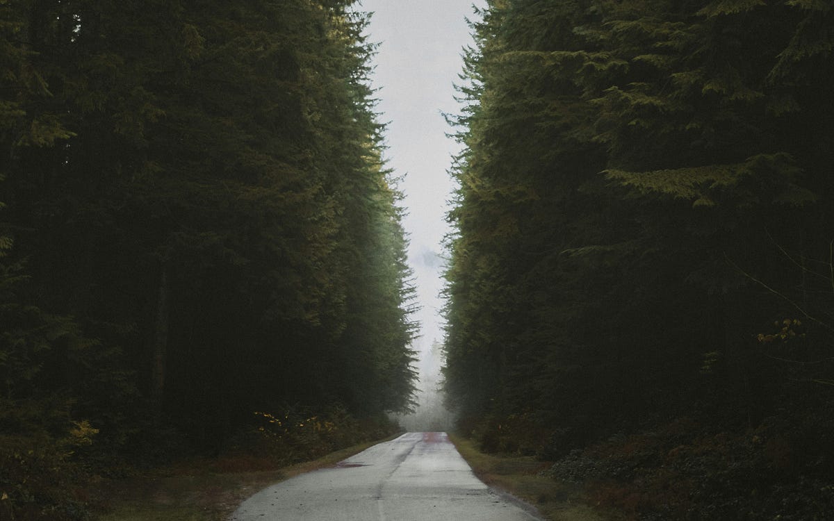 crossroad of us: "i hope our paths cross again" | by dewi | Aug, 2025 ...