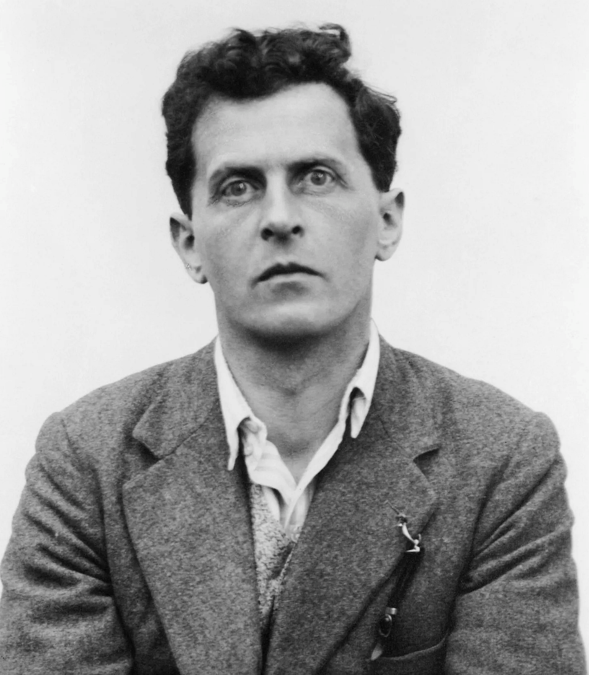 Revisiting Wittgenstein…. The Philosophy of Semiotic Boundaries… | by ...