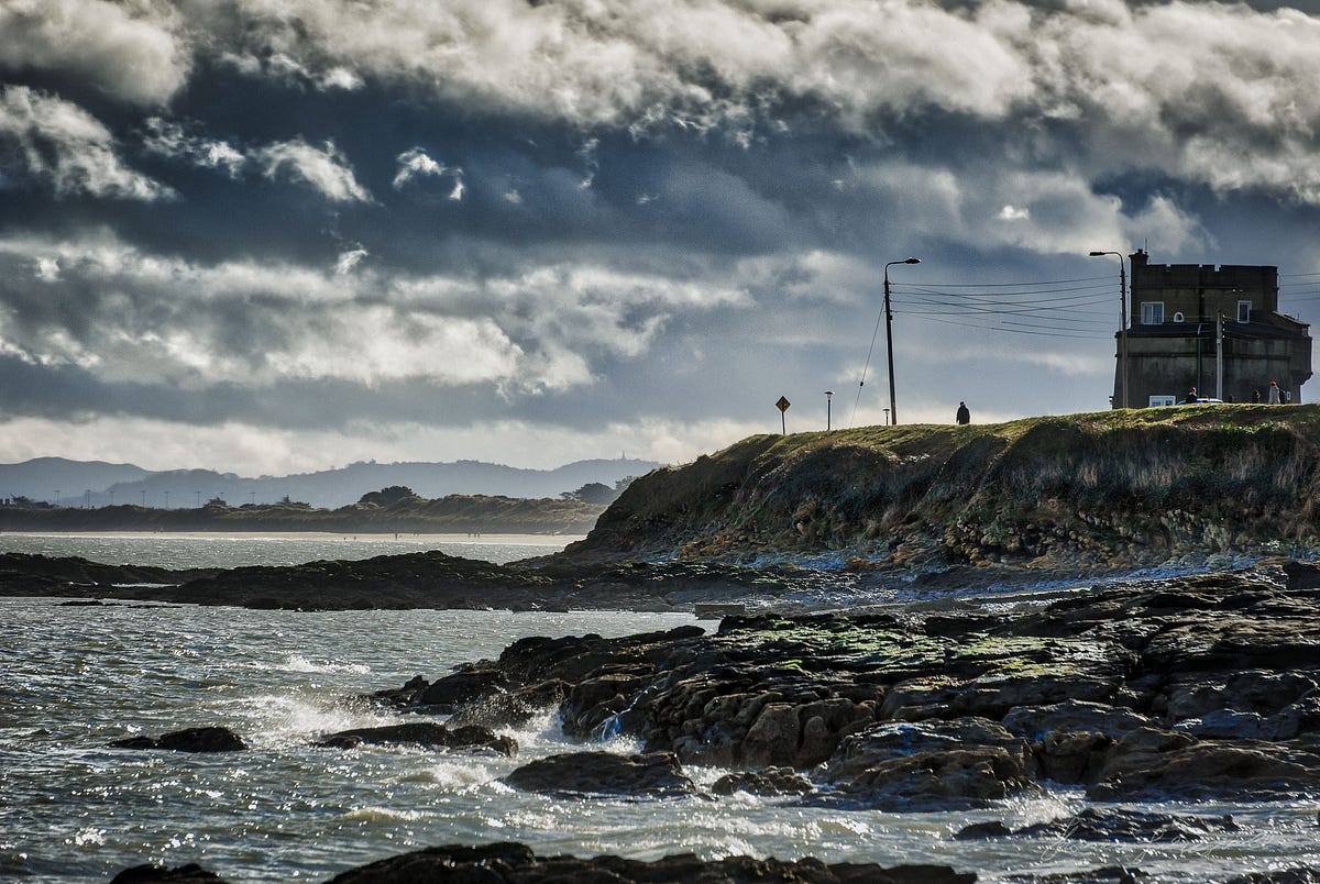 Sharpness is not overrated. Every now and then someone trots out… | by ...