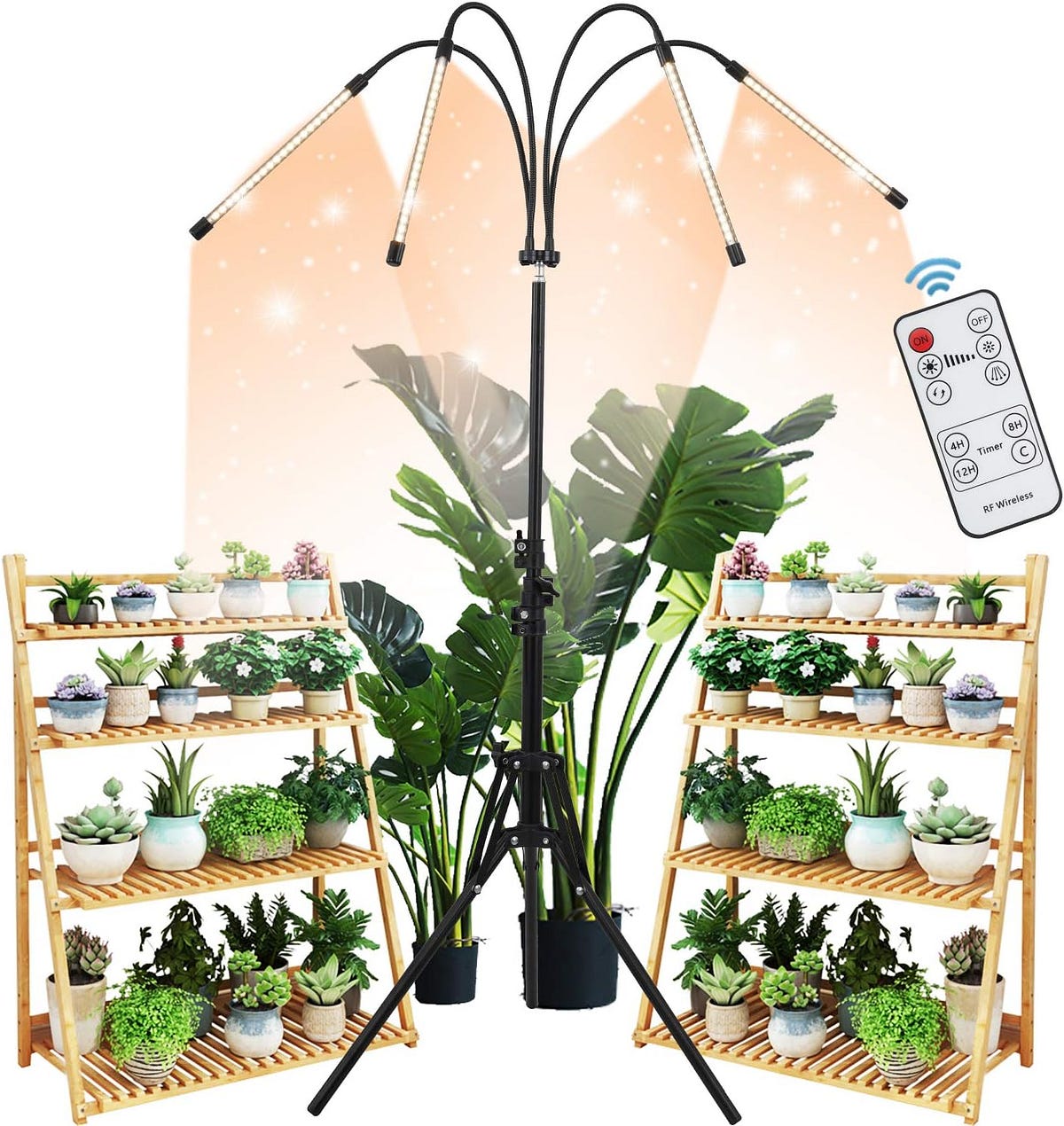 The Ultimate Indoor Garden Guide: 5 Essential Products for the Modern ...