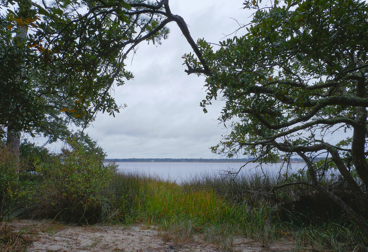 Your Guide to Croatan National Forest | by Rin Huff | Jan, 2024 | Medium