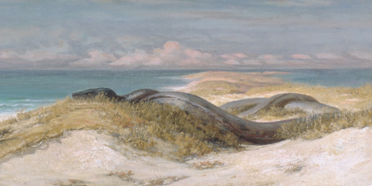 Nessie, the Loch Ness Monster, Dies at 118 | Daniel Brenton | Bouncin ...