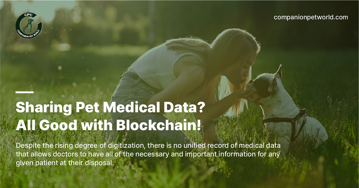 Sharing Pet Medical Data? All Good with Blockchain! | by Companion Pet ...