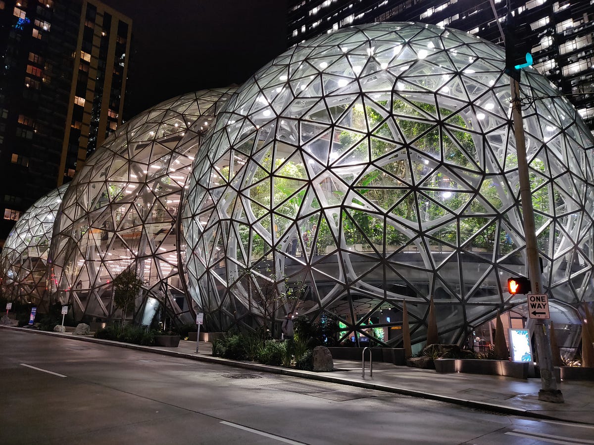 Inside Amazon’s (bio) Spheres.. 26th December, ’18 | by Aanchal Varma ...