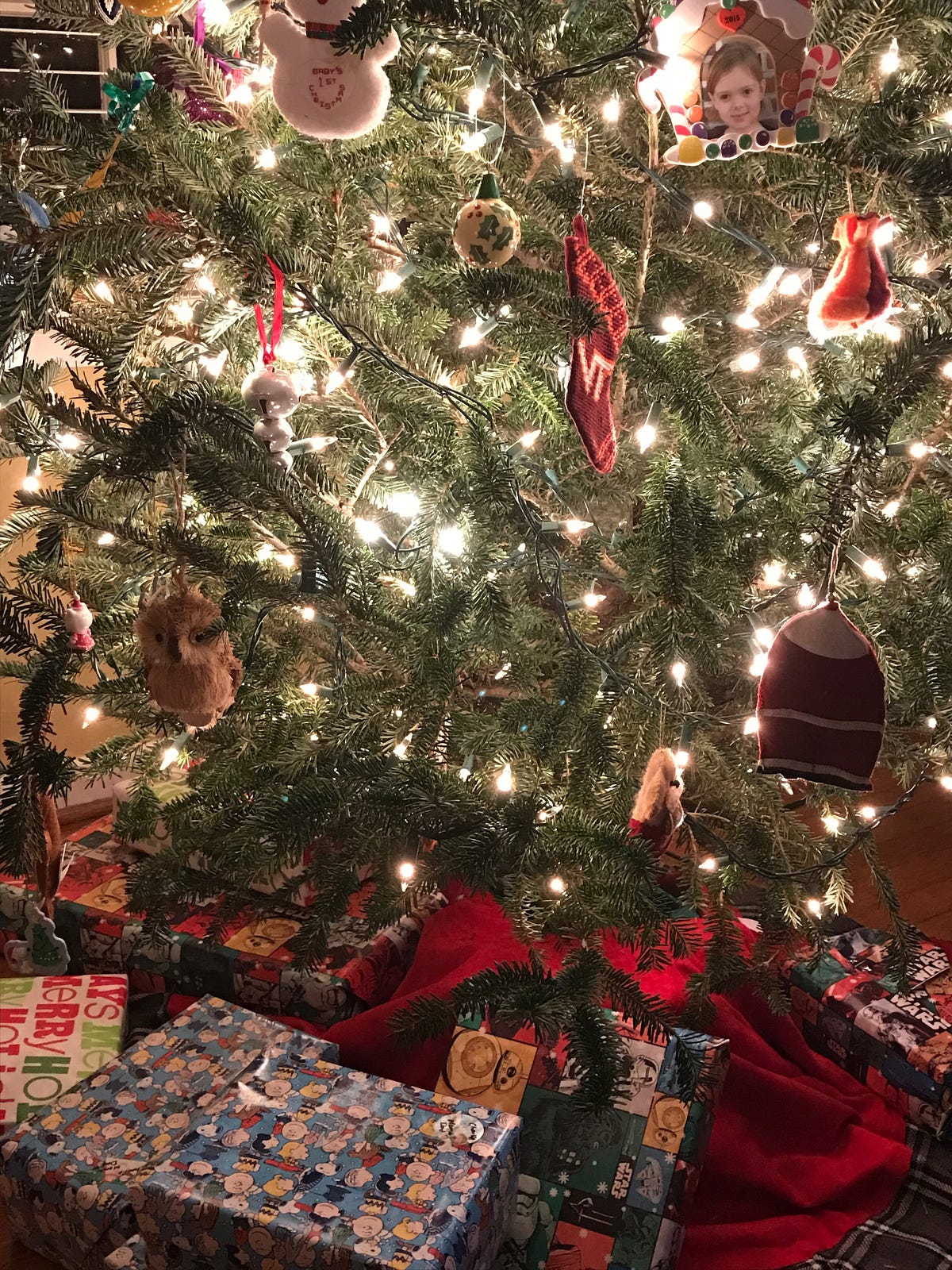 131.. White lights on the tree | by Jim Barber | Medium