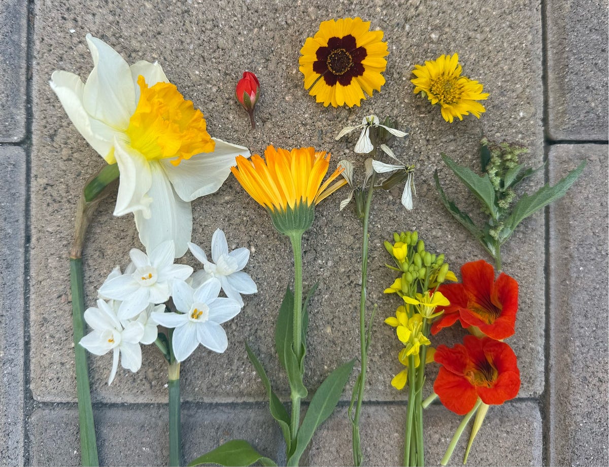 Quotes as Spring is Here. Let’s get into spring vibes | by Dr. Seema ...