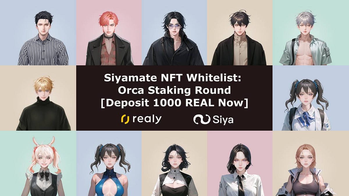 Siyamate NFT Whitelist: Orca Staking Round | by REAL REALY | Jan, 2024 | Medium