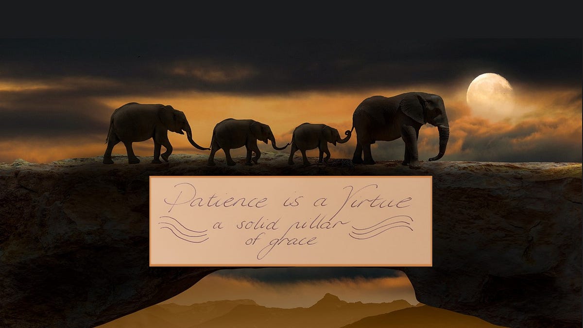 Patience in a Twittle – three micropoems in one | Paper Poetry