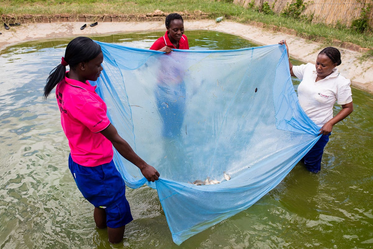 These young women entrepreneurs could make all the difference for ...