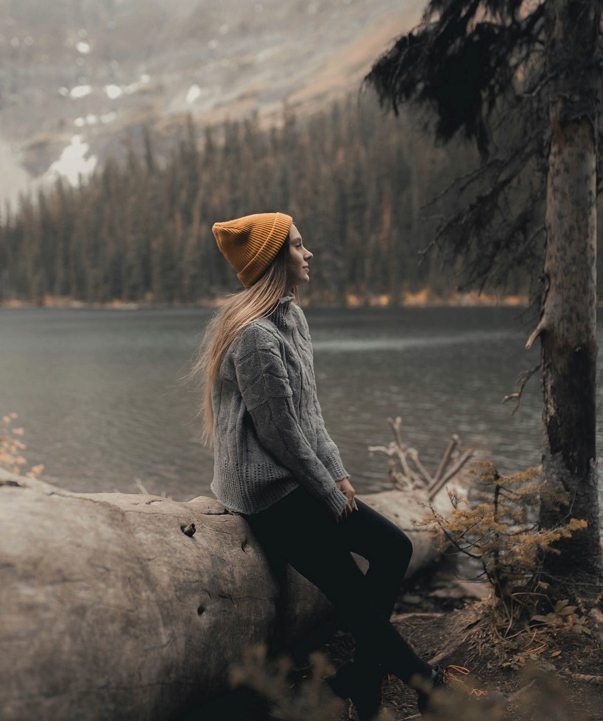 Freedom Plus Purpose is a Simple Formula for a Nice Life | by Thomas ...
