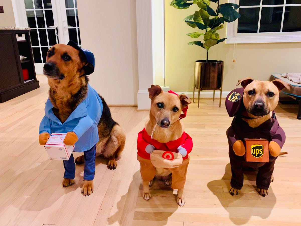 About Me — Wynne B.. Picking up creative writing in my 40s! | by Wynne B. | About Me Stories ...