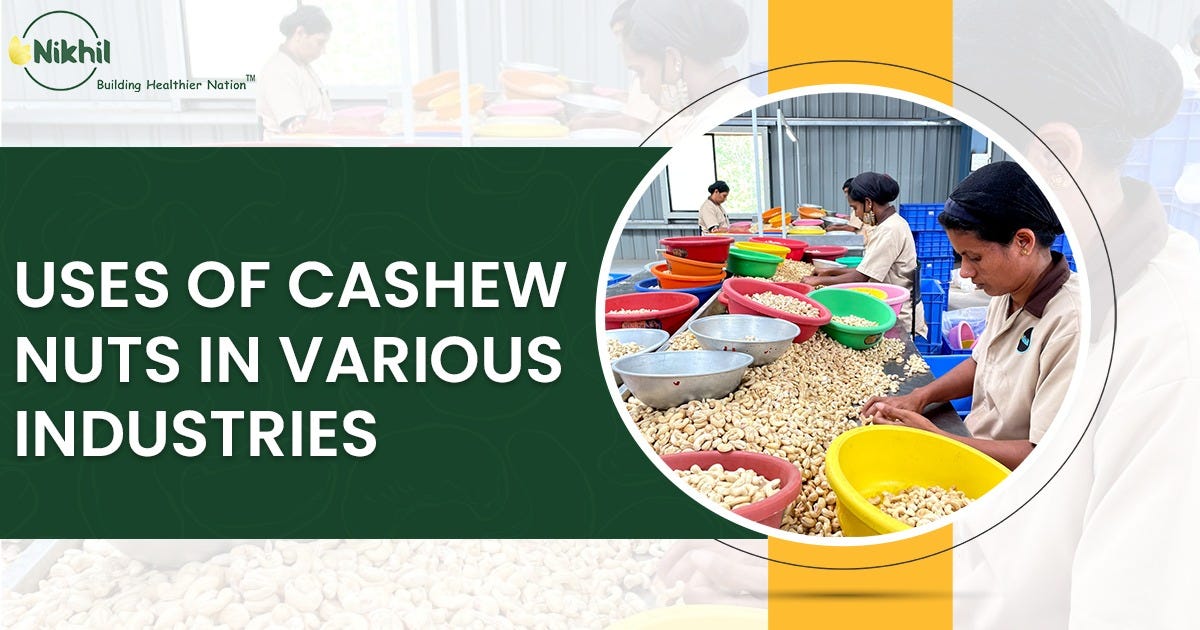 Uses Of Cashew Nuts In Various Industries! | by Click To Explore | Medium