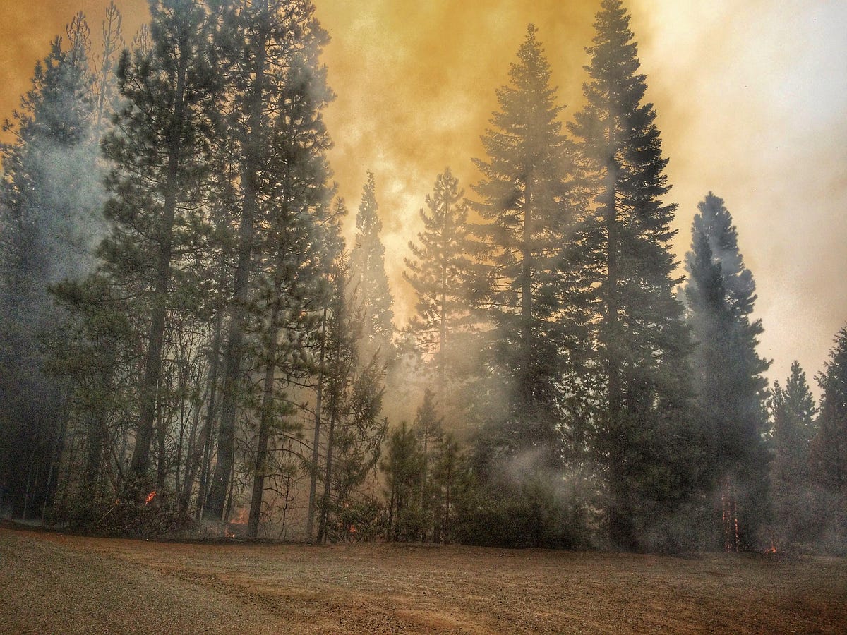 Wildfires Rage in Northern California | by Nicole Piper | Medium
