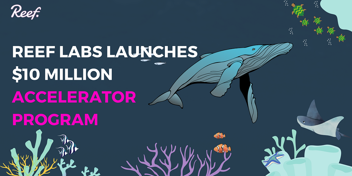 Reef Labs Launches $10 Million Accelerator Program to Foster Web3 ...