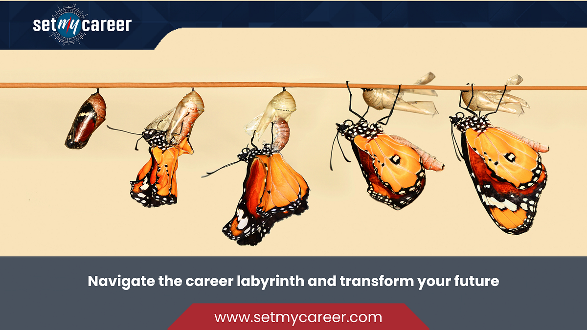 How Career Guidance Can Transform Your Future | by SetMyCareer | Medium