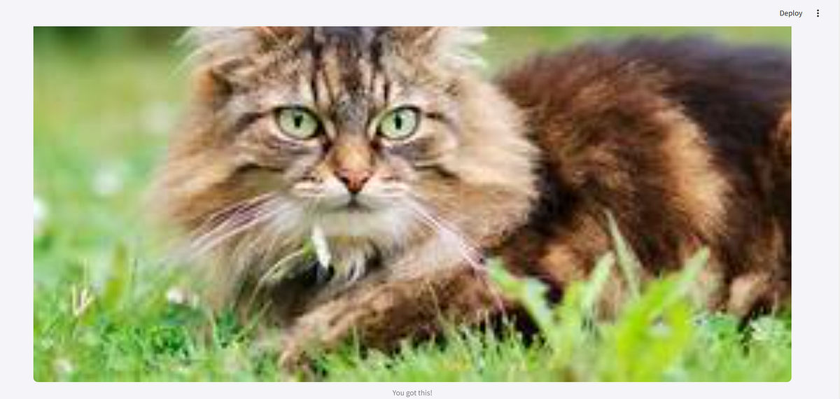 🐱🐶 Cats, Dogs, and a Fun RL Game — Gamifying Reinforcement Learning ...
