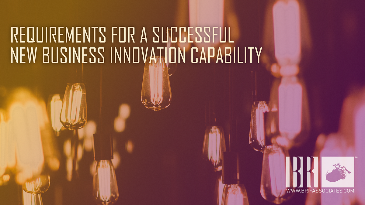 Requirements for a Successful New Business Innovation Capability | by ...