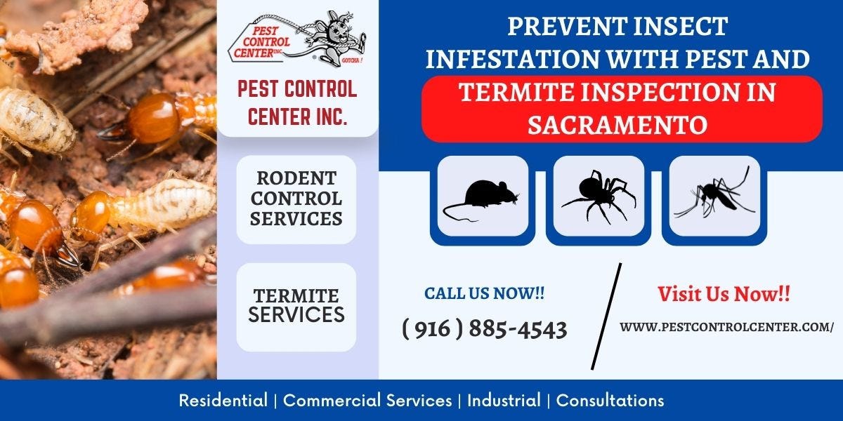 Prevent Insect Infestation With Pest and Termite Inspection in ...