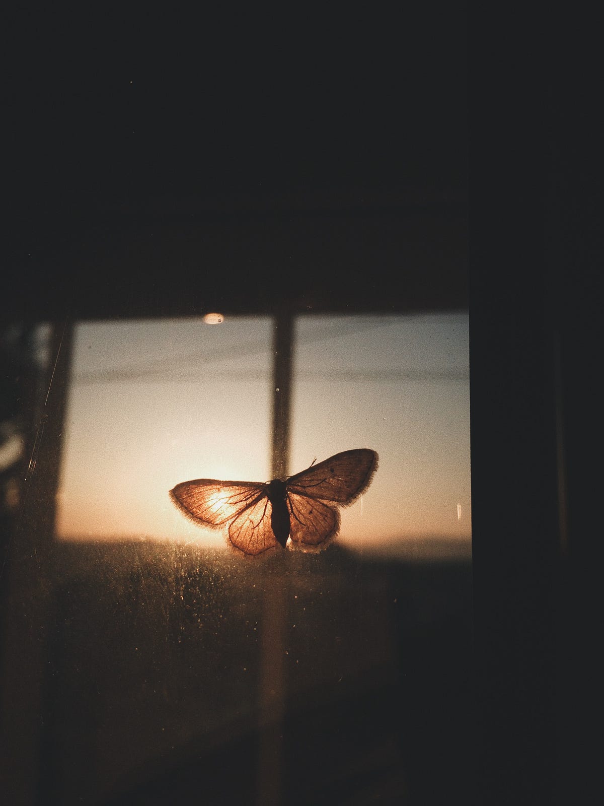 Stepping out of Darkness into the most Glorious Light. | by Pej. O | Medium