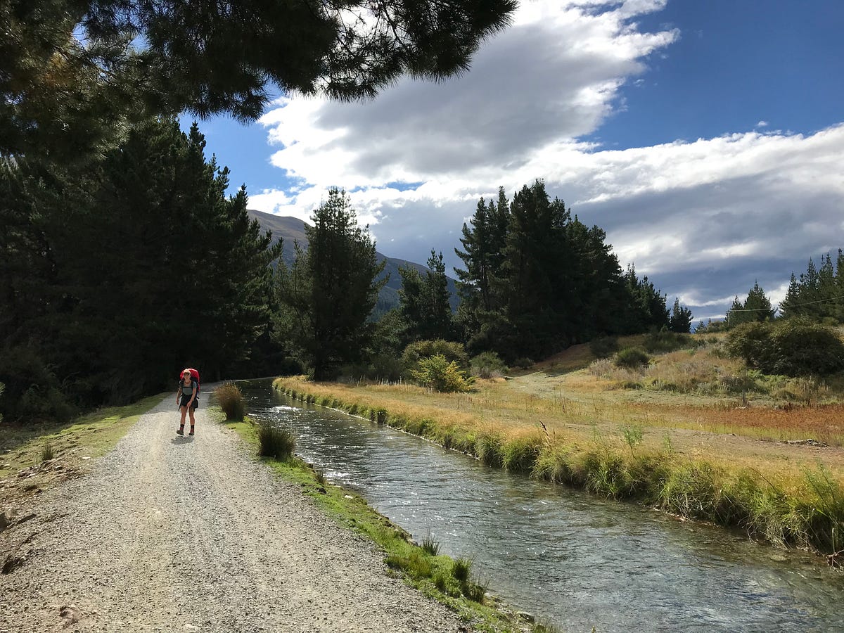 FULL HOUSE. We walked around Lake Hawea towards… | by Billy Pirie | Medium