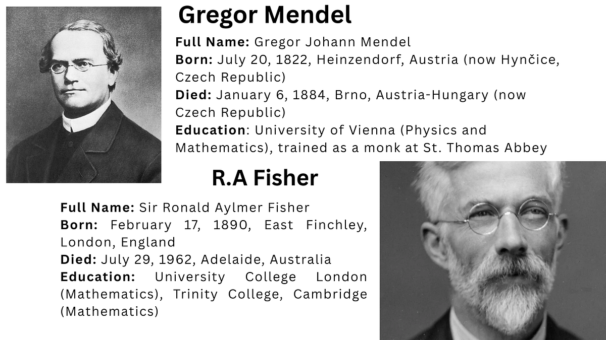 Mendel vs. Fisher: Father of Genetics Meets Father of Statistics | by ...