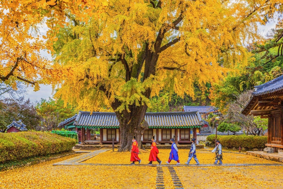 🌸💖 Explore the Wonders of Korea! 💖🌸 | by iTravelBookings | Dec, 2023 ...