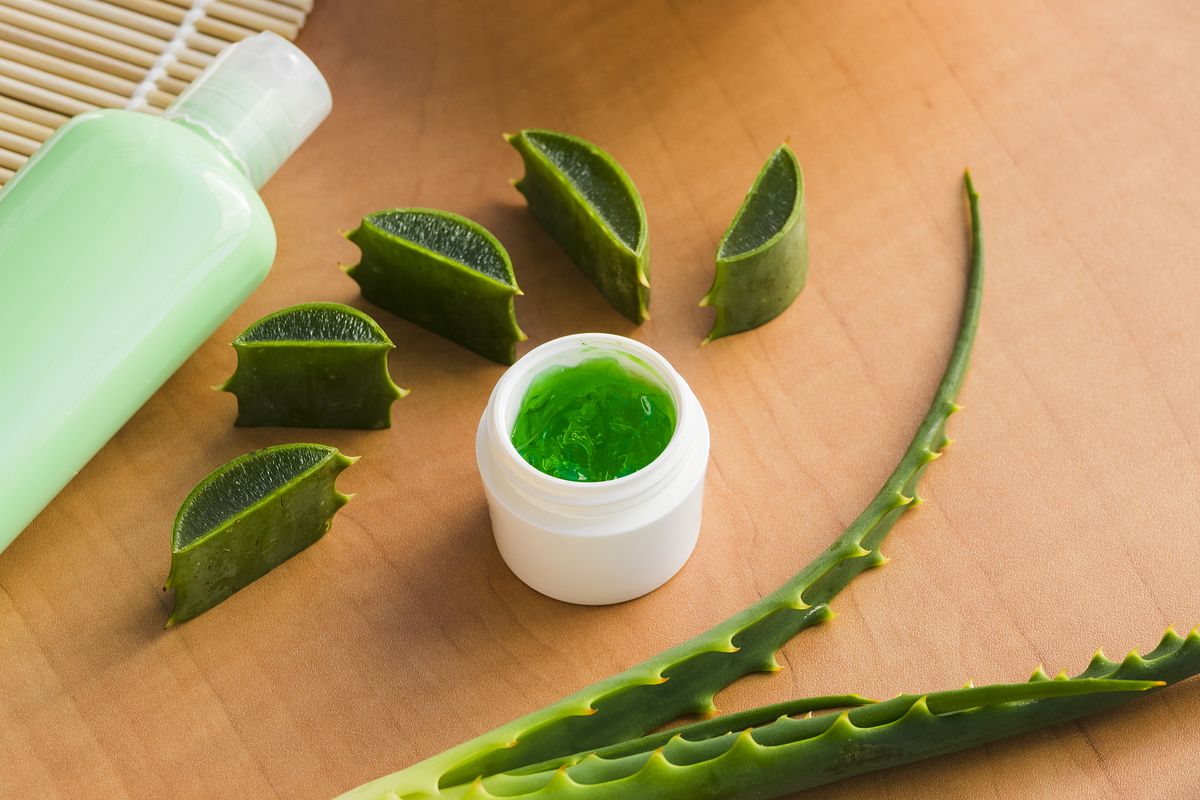 Why is Aloe Vera a Staple Ingredient in Wellness Products? | by ...