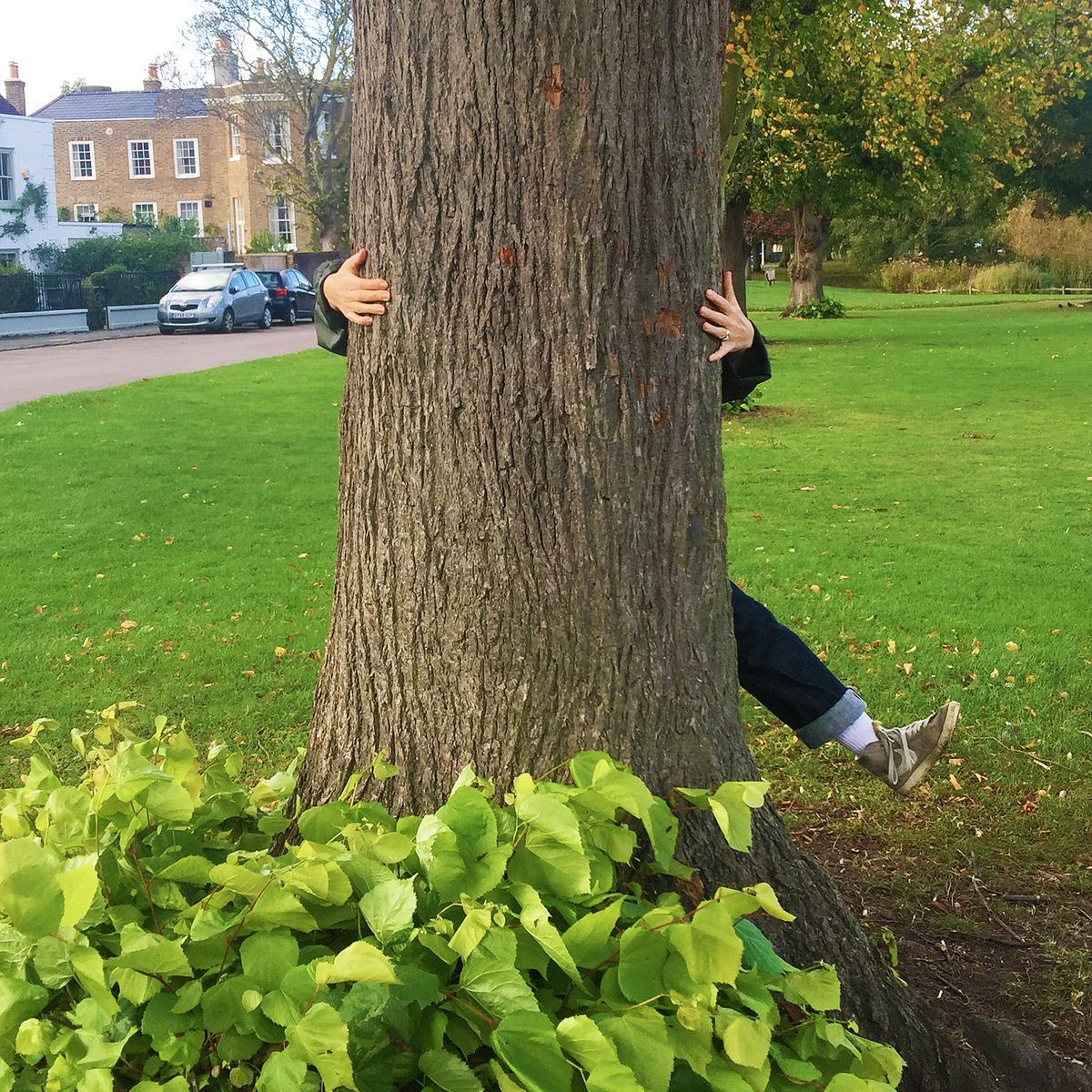 Don’t be shy 😳 7 great reasons to go and hug a tree today | by Rebecca ...