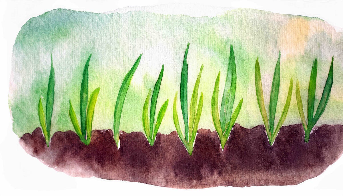 Emerging Life - Printique studios - Medium