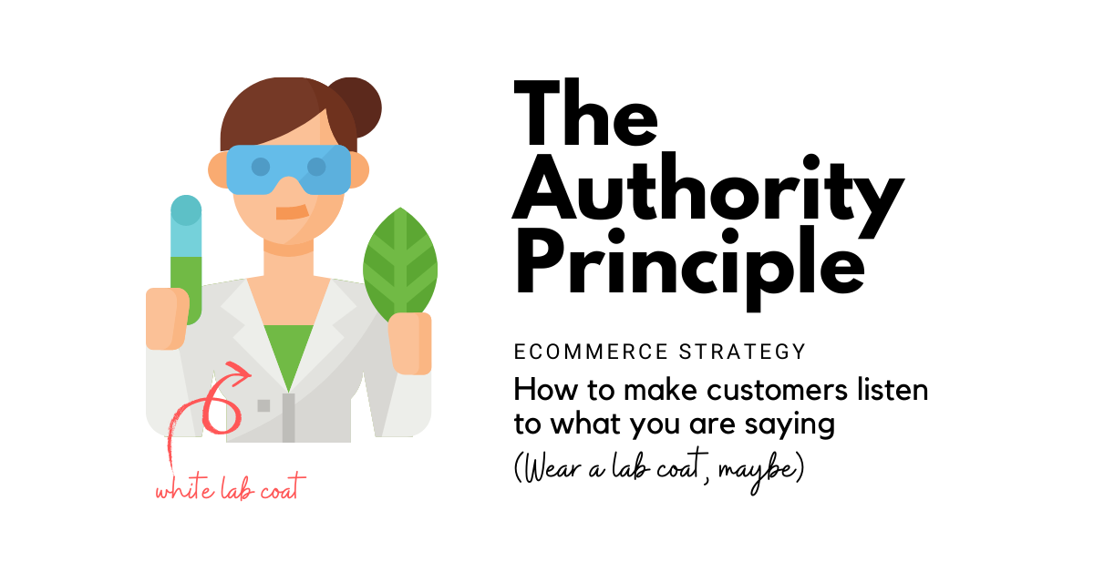eCommerce Strategy: How to Position Your Brand as an Authority ...
