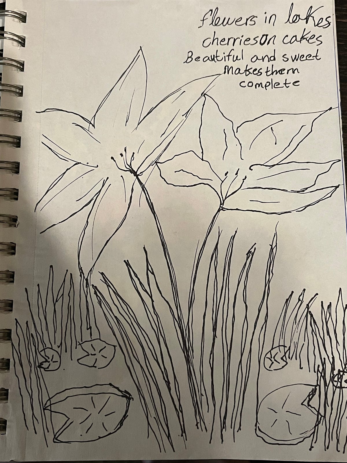 Easy drawing with Poetry - Ashuh's Wonders - Medium