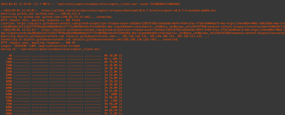 How to run Velociraptor in OCI Container Instance | by Birzu Alexandru ...