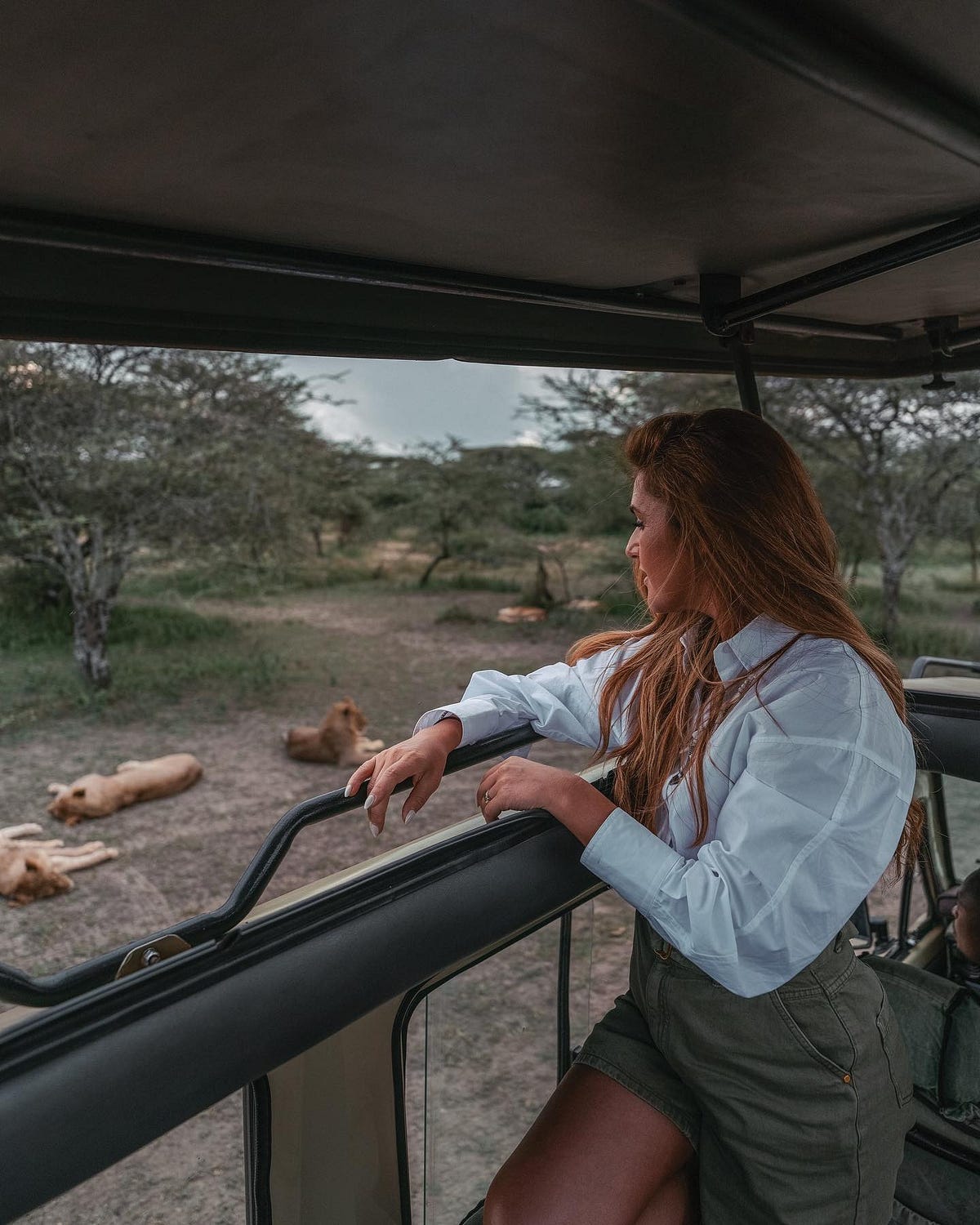 3 Days Serengeti, Ngorongoro, Tarangire safari Make your dream safari a ...