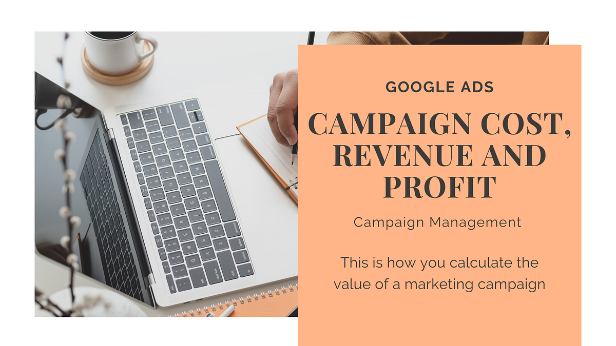 Campaign Cost, Revenue and Profit | by Stefania Borchia | Medium