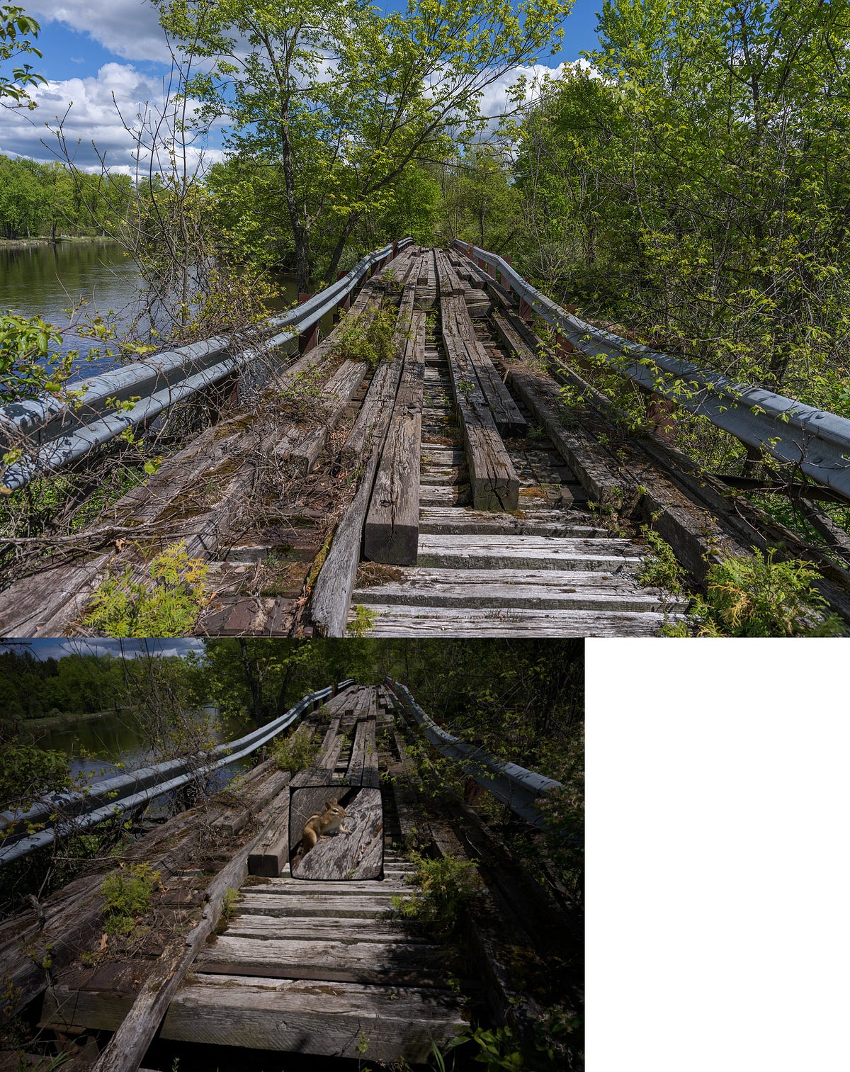 The Trestle Bridge. By Michael Erlewine | by Michael Erlewine -- Archivist Popular Culture | May ...