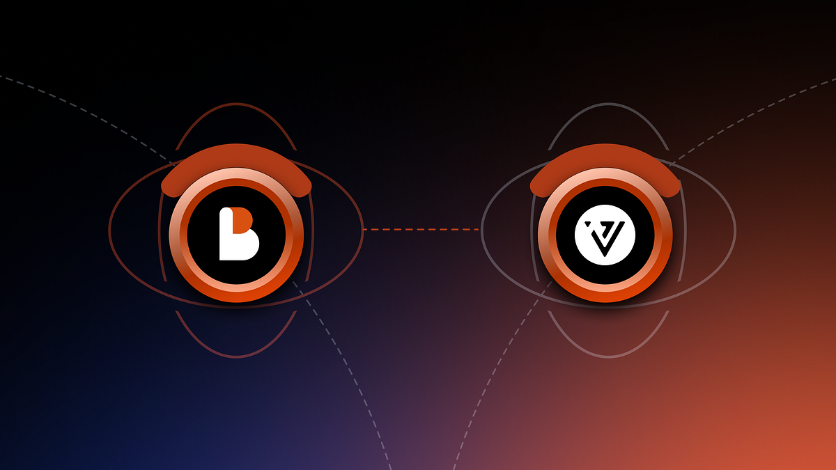 Introduction to Biconomy | VTVL - Token Management | VTVL-Official