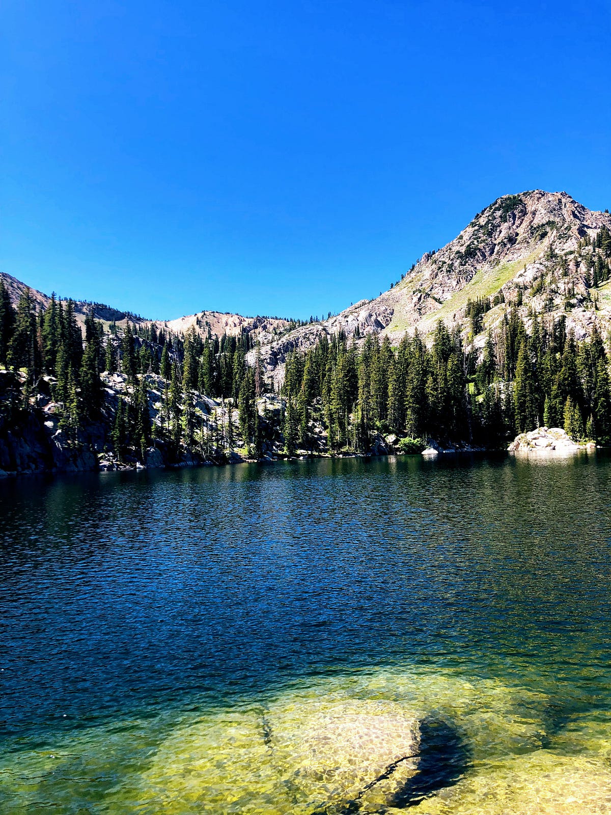 5 Reasons to go Hiking. Hiking Sooths the Soul | by Kayla Palumbo | Medium