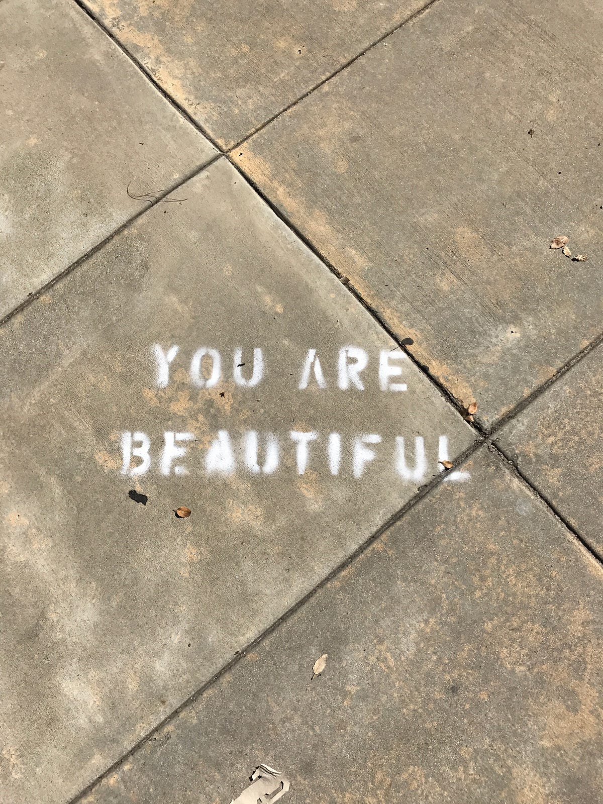 You Are A Beautiful Sight to Behold | by Chico Spears | The Orange ...