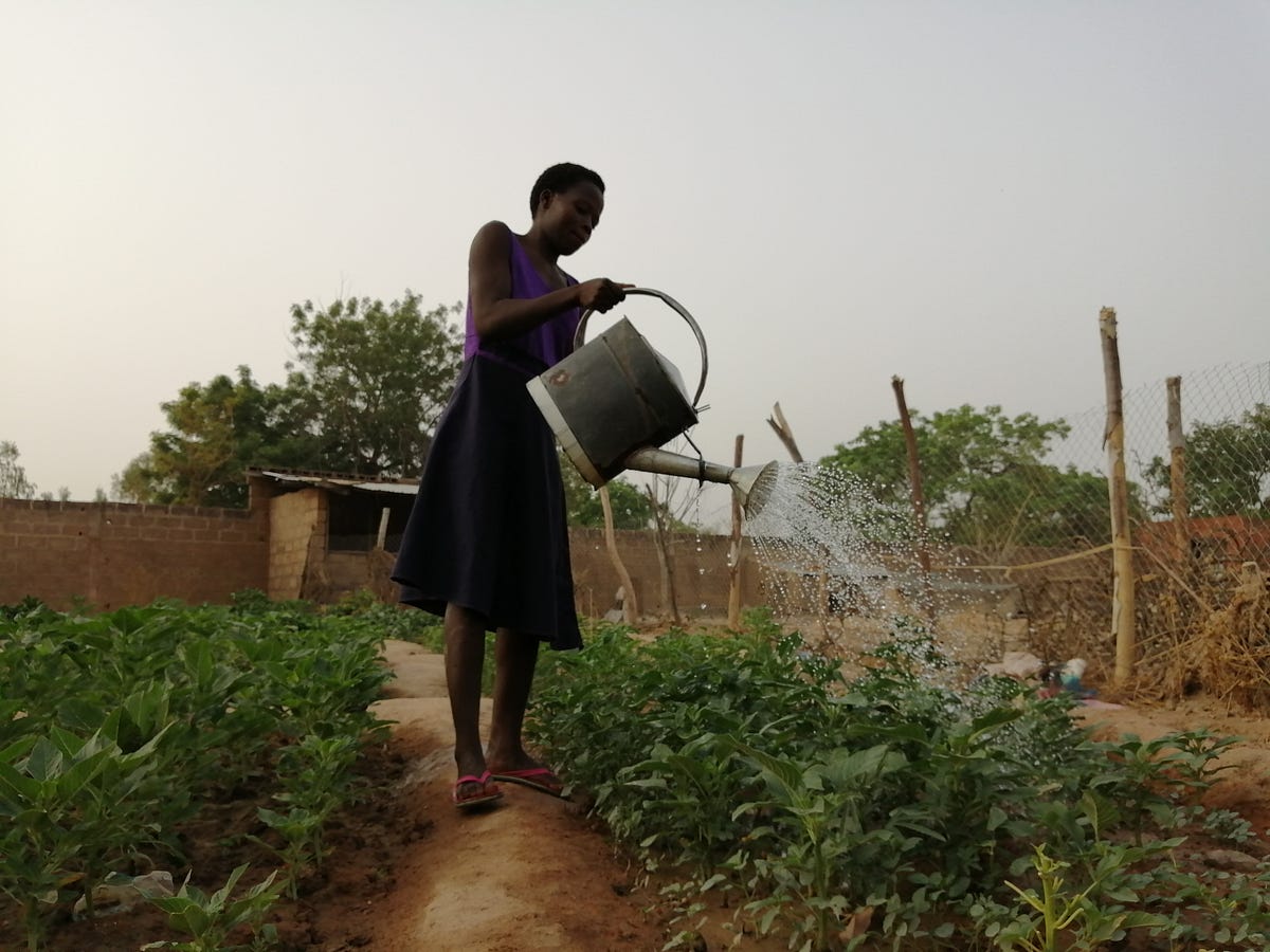 WASH in School: Providing water to support comprehensive education for ...