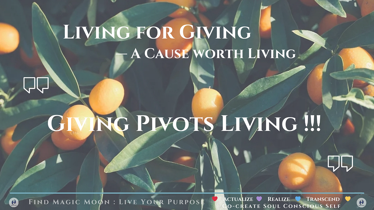 Living for Giving - FIND MARVELOUS MOON ! - Medium