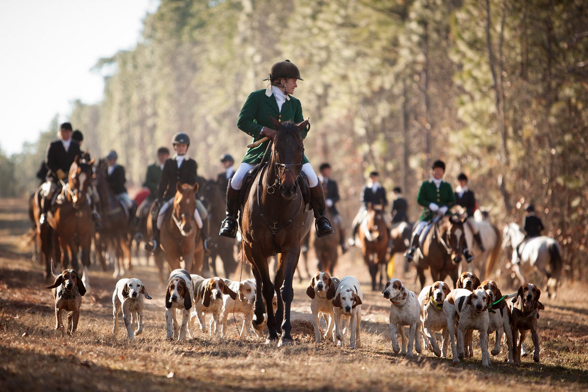 I don't get hunting but it may just be me | Medium