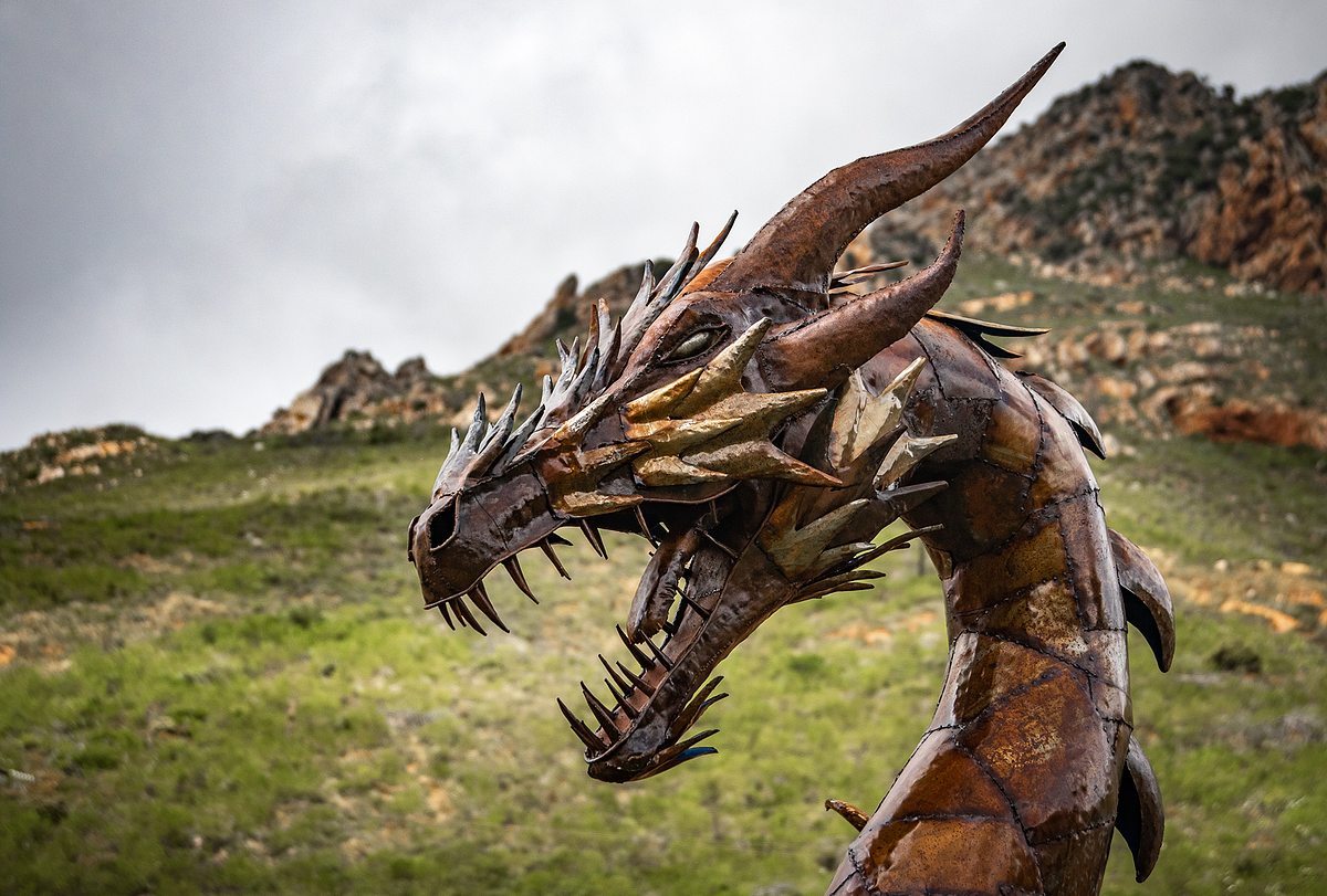 How the Evil Dragon Becomes the Hero: | by David W Litwin | RE-Thinker ...